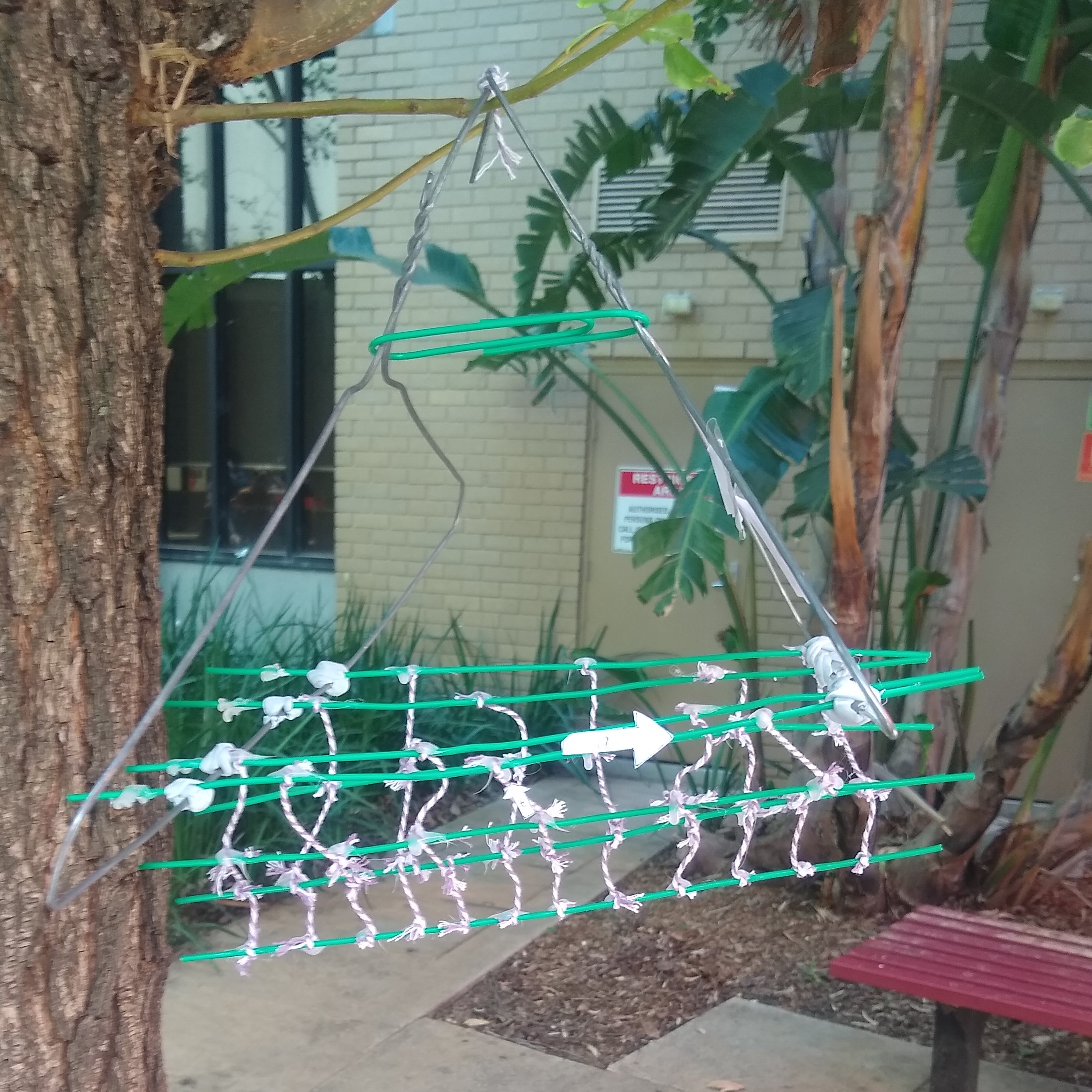 Cayley Graphs and Cakes – Maths to Share